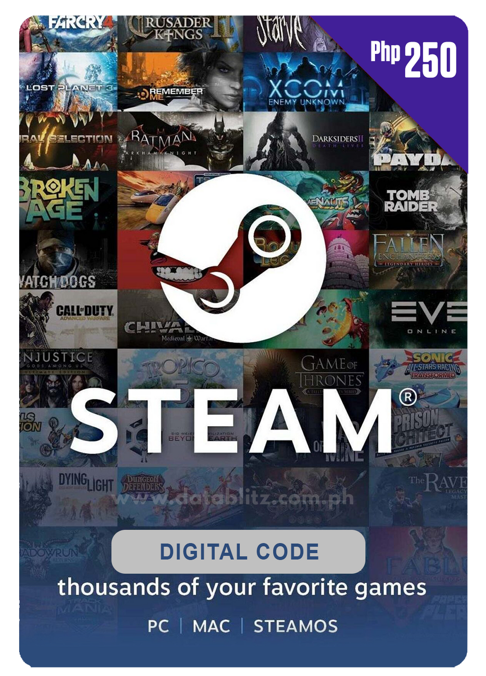 Steam Wallet Digital Code - Php 250 – Datablitz Digital Store